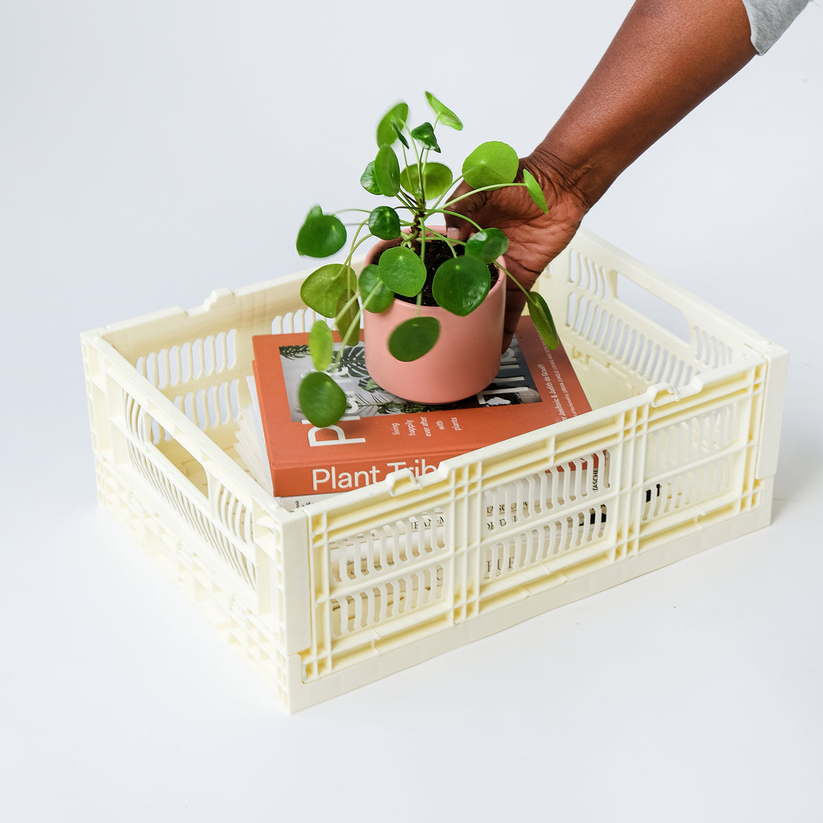 Heavy Duty Color Storage Crates | Shop Humber